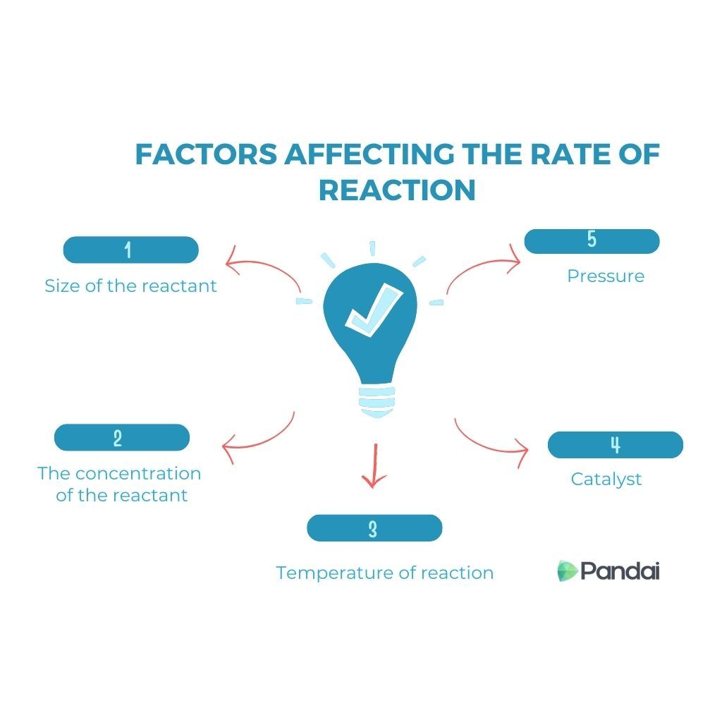 Factors that Affect the Rate of Reaction